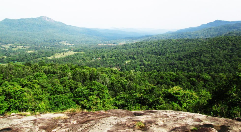 Forest Homestay - Maradi - Chikmagalur homestays